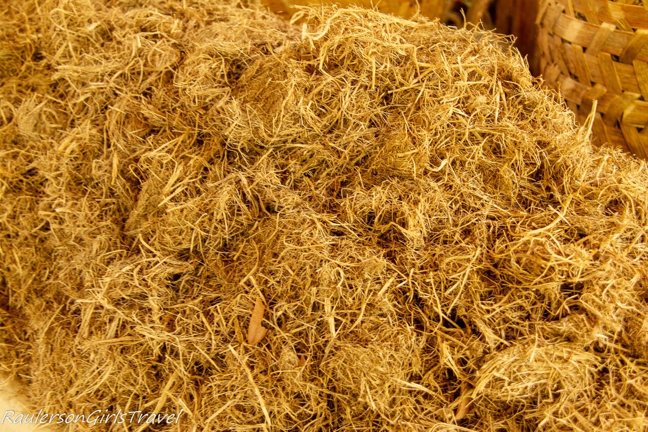The Making of Elephant Poo Paper in Chiang Mai - RaulersonGirlsTravel