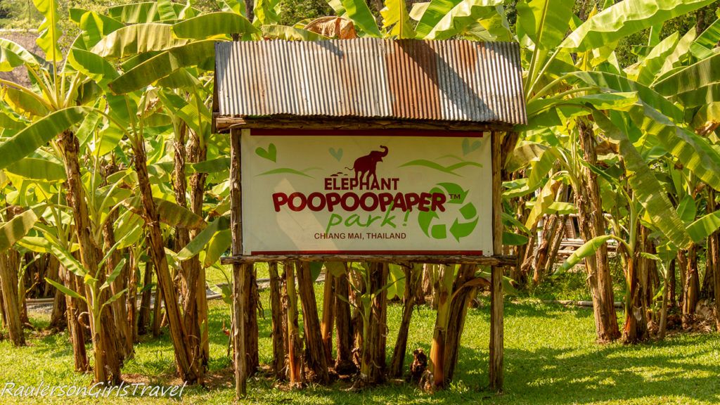 The Making of Elephant Poo Paper in Chiang Mai - RaulersonGirlsTravel