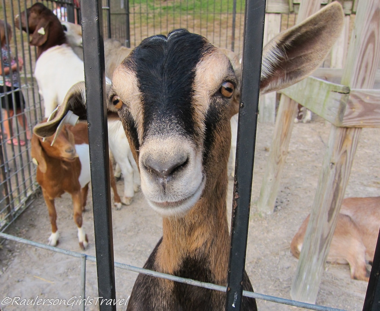 Michigan Cider Mills - My Top Three Favorites You Must Visit ...