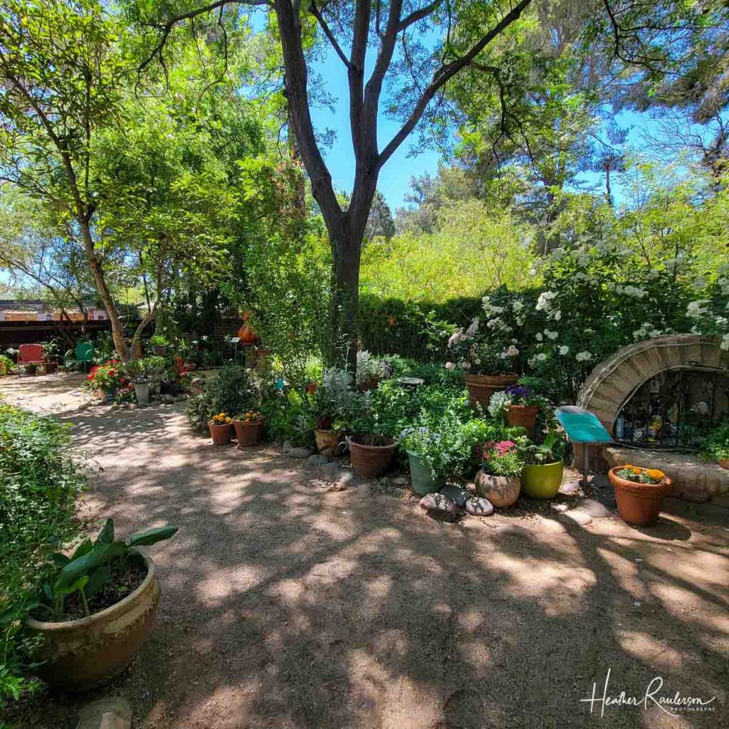 Where Desert Meets Design: Why Tucson Botanical Gardens Are Worth Your ...